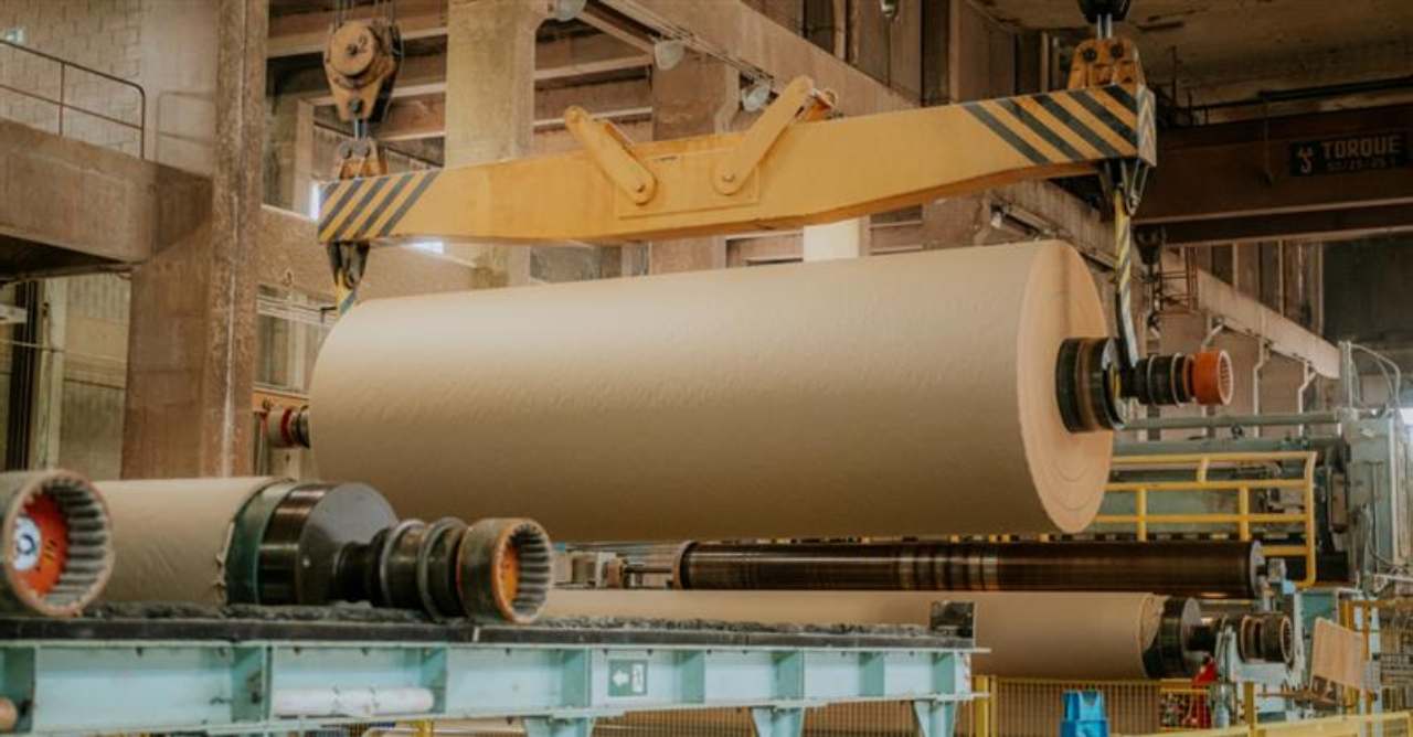 Inovando para um futuro mais sustentável, a BO PAPER apresenta a linha ...